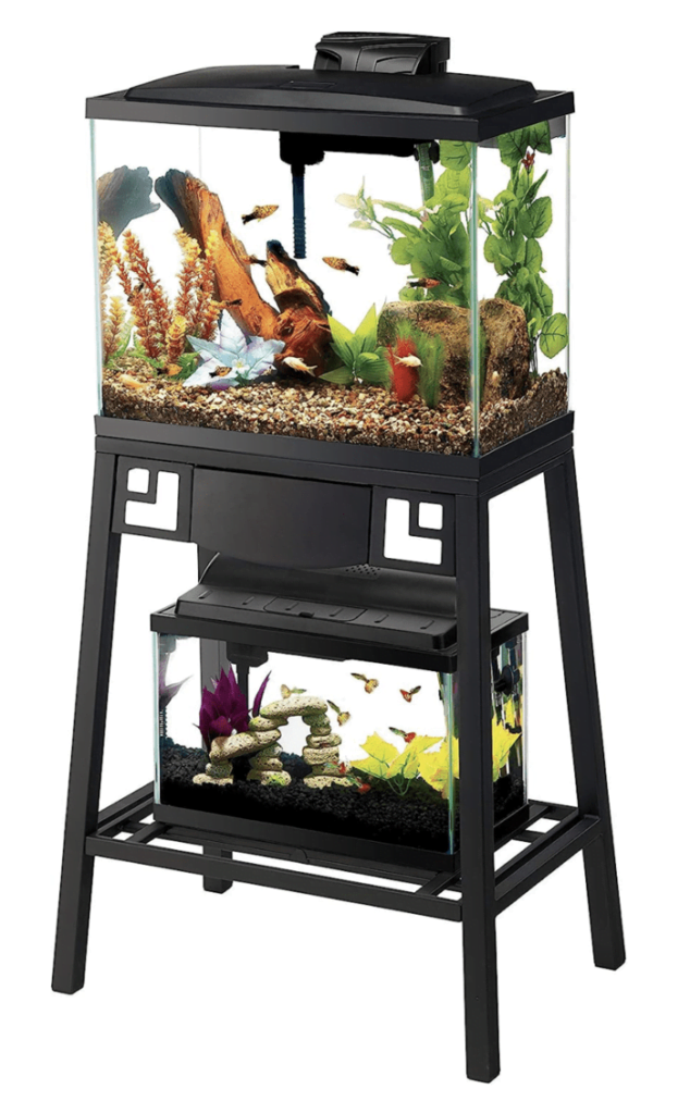 Maximizing Space: Best Stands for Small Fish Tanks (5-30 Gallons)